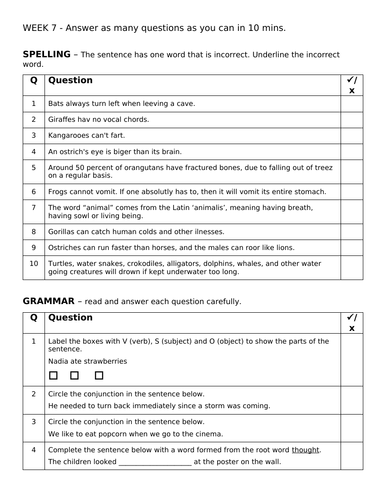 SPaG Ninja - Ten minute revision tests. | Teaching Resources