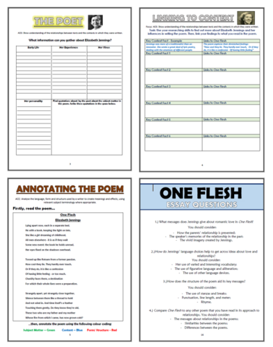 One Flesh Comprehension Activities Booklet! | Teaching Resources