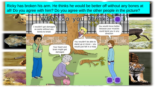Year 3 Animals including Humans unit of work | Teaching Resources