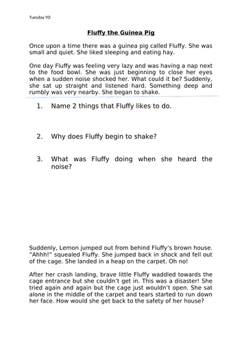 Story Comprehension Year 2 | Teaching Resources