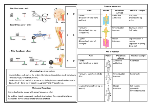 OCR GCSE PE Movement Analysis Revision Sheet | Teaching Resources OCR GCSE PE Movement Analysis Revision Sheet | Teaching Resources