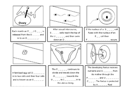 Reproduction - becoming pregnant for KS3 and KS4 Biology (Science) by ...