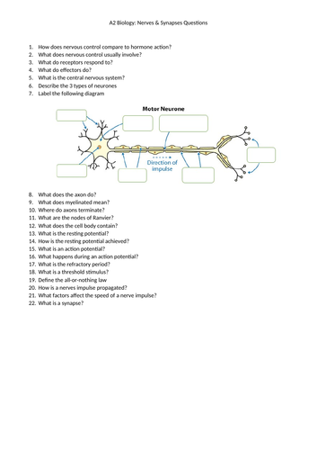A2 Biology Module 1 Questions & Answers | Teaching Resources