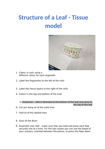 Structure of a Leaf Model Making activity | Teaching Resources