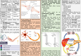 Homeostasis and Response Knowledge Organiser GCSE Biology AQA | Teaching Resources