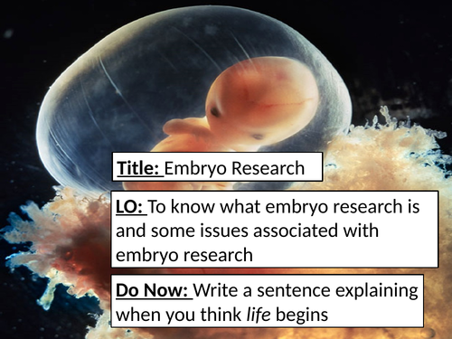 Embryo Research | Teaching Resources