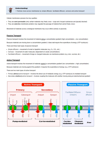 Transport across membranes, IB 1.4 Membrane transpor | Teaching Resources