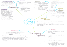 Ecology Mind Map | Teaching Resources