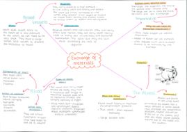 Exchange of materials mind map | Teaching Resources
