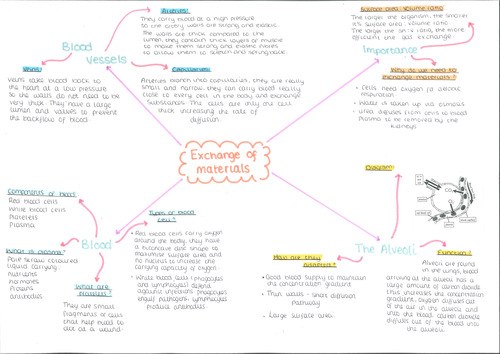 Exchange of materials mind map | Teaching Resources