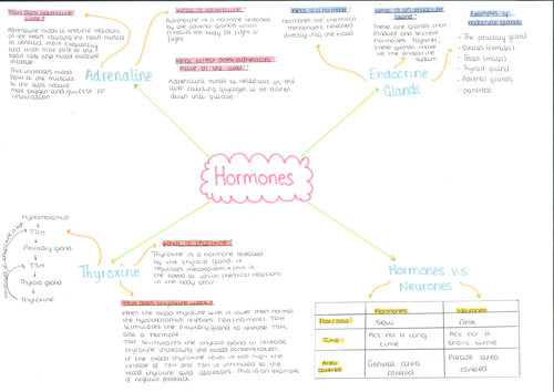Hormones mind map | Teaching Resources