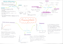 Photosynthesis mind map | Teaching Resources
