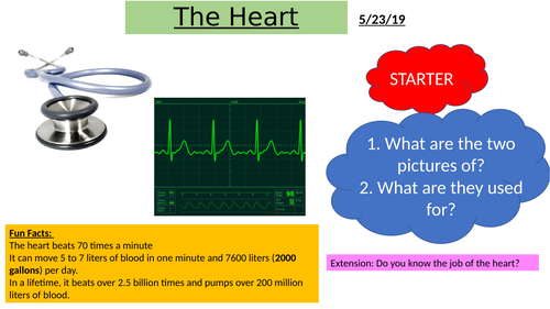Animals including Humans BUNDLE KS2 Science | Teaching Resources