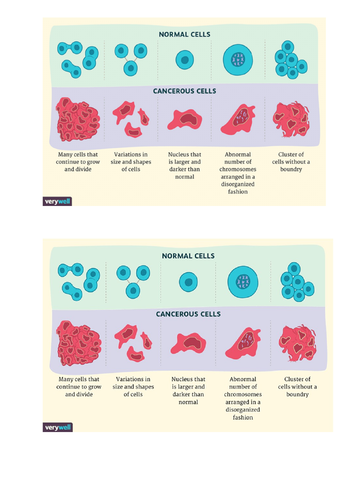 WJEC Medical Science Unit 4 LO3 - Cancer | Teaching Resources