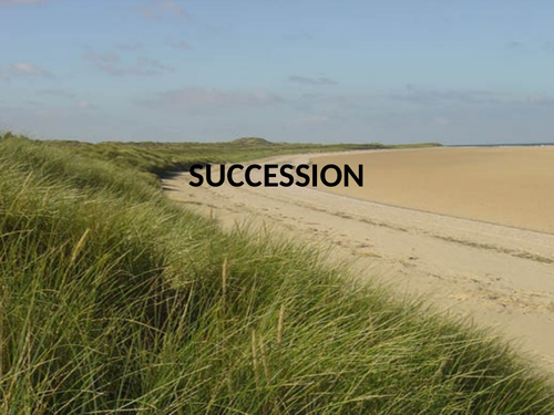 Presentation on succession using sand dunes as an example | Teaching ...