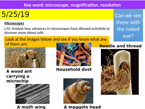 KS3 Microscope, Cells and Specialised Cells | Teaching Resources