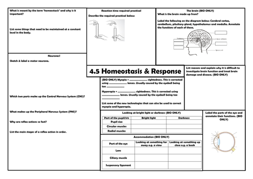 Biology 4.5 Homeostasis & Response | Teaching Resources