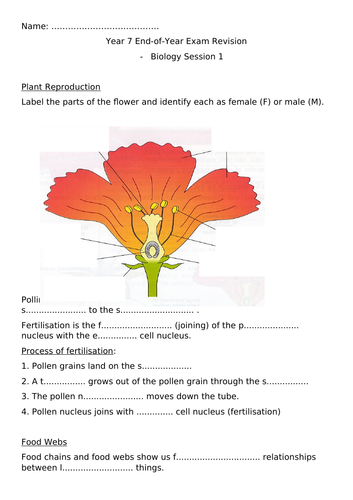 Year 7/KS3 Science Revision- Bio 1- Plant Reproduction, Food Chains ...