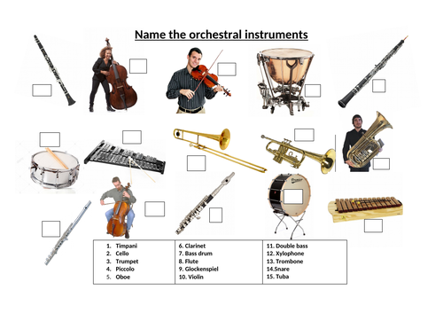 Instruments of orchestra | Teaching Resources