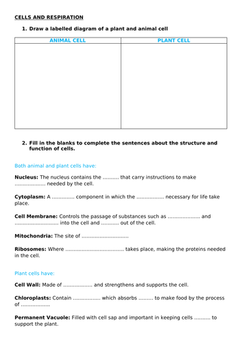 GCSE Biology Cells and Respiration | Teaching Resources
