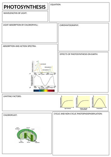 IB Biology - Photosynthesis | Teaching Resources