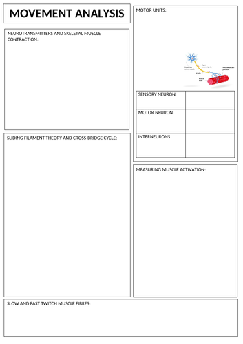 IB Sports Science Topic 4 | Teaching Resources
