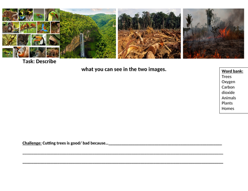How deforestation affects an ecosystem- Y5 Geography Lesson | Teaching ...