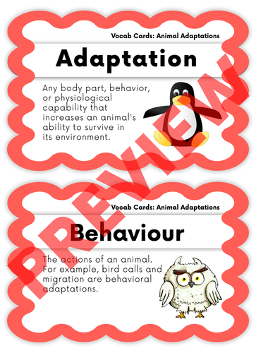 Animal Adaptations Vocabulary Cards | Teaching Resources