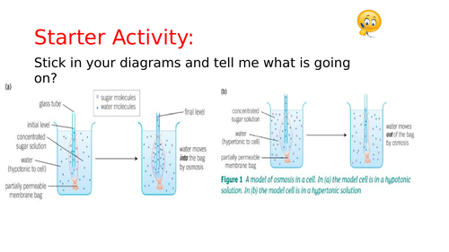 New 9-1 Science Trilogy GCSE 9-1 B1.1 Cells Topic | Teaching Resources