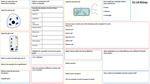 AQA New Spec Revision sheets - B1 - B4 - Chapter cells and organisation ... AQA New Spec Revision sheets - B1 - B4 - Chapter cells and organisation ...