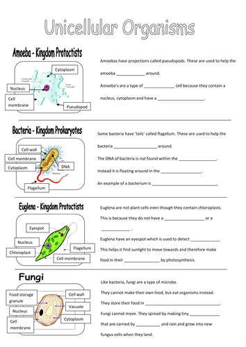 AQA KS3 YEAR 7 - INTRODUCTION TO PLANT & ANIMAL CELLS | Teaching Resources