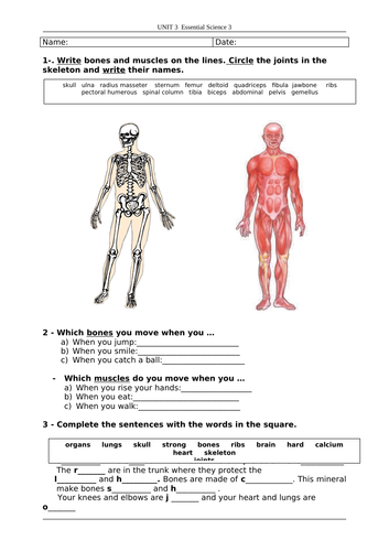 AQA KS3 YEAR 7 - INTRODUCTION TO PLANT & ANIMAL CELLS | Teaching Resources