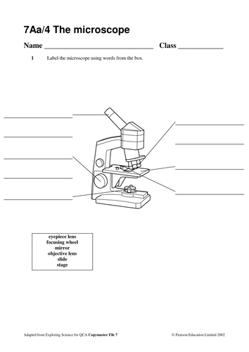 AQA KS3 YEAR 7 - INTRODUCTION TO PLANT & ANIMAL CELLS | Teaching Resources