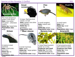 AQA KS3 YEAR 7 - ECOSYSTEMS | Teaching Resources