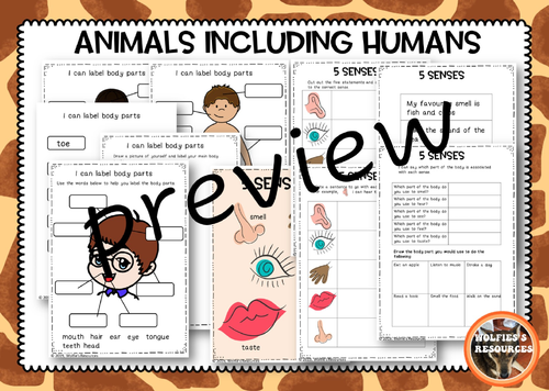 Animals Including Humans Year 1 | Teaching Resources