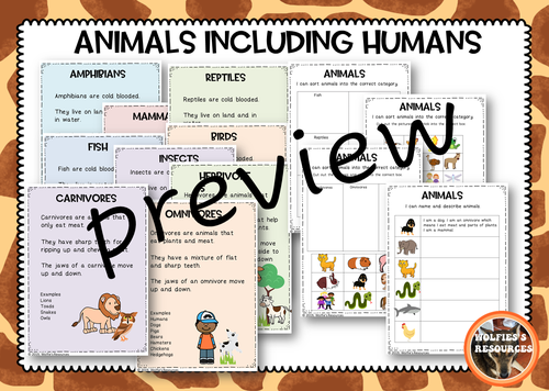 Animals Including Humans Year 1 | Teaching Resources