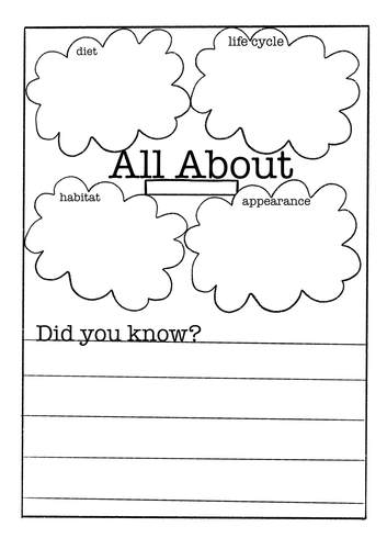 Meerkat Mail | Talk for Writing|Activity Pack | Teaching Resources