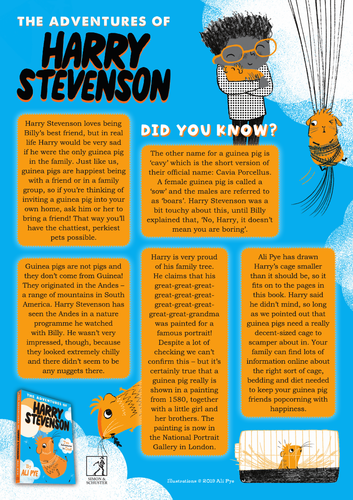 The Adventures of Harry Stevenson Activity Pack | Teaching Resources