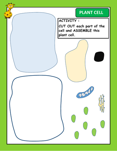 Biology : Cells and Types of Cells | All activities for Year 6 to 10 ...