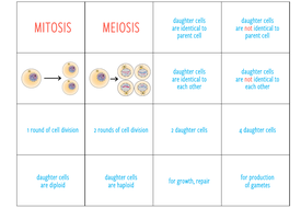Mitosis and meiosis comparison - Card sort (KS3/4) by anjacschmidt ...