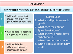 AQA GCSE CELL BIOLOGY CELL DIVISION MITOSIS STEM CELLS PPTS | Teaching ...