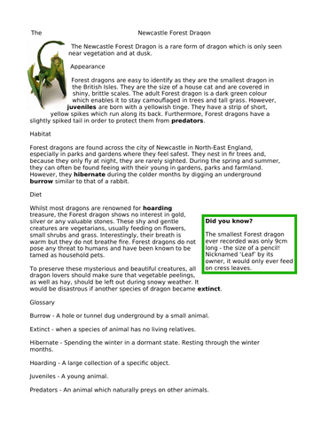 Year 3/4 Non-Chronological Reports | Teaching Resources Year 3/4 Non-Chronological Reports | Teaching Resources