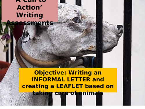 WRITING an INFORMAL LETTER and LEAFLET based on ANIMAL CRUELTY ...