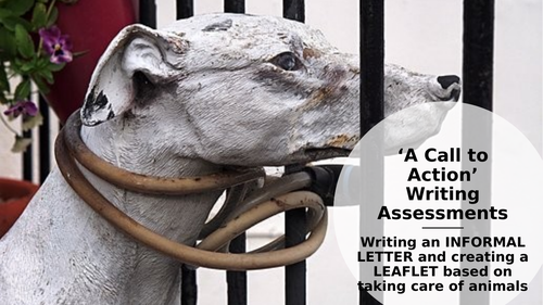 WRITING an INFORMAL LETTER and LEAFLET based on ANIMAL CRUELTY ...