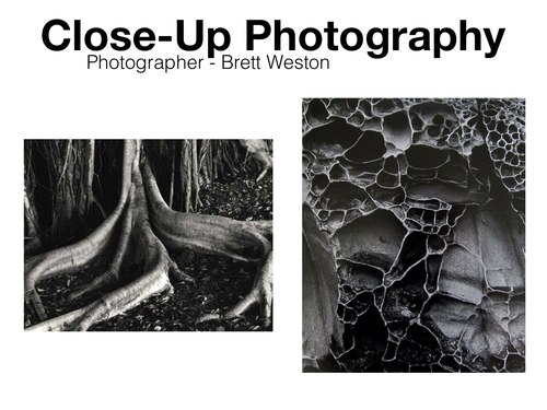 Close-Up Photographers - GCSE Photography Reference / Ideas | Teaching ...