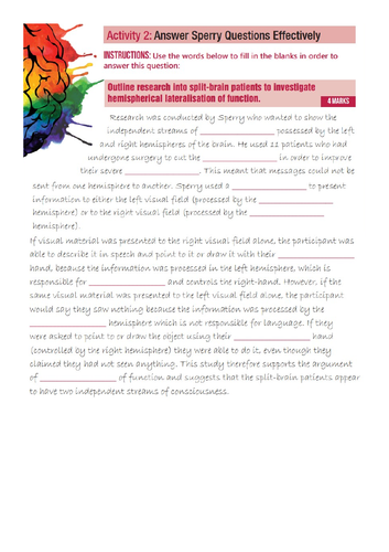 Biopsychology lessons AQA Psychology | Teaching Resources