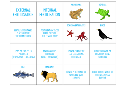 External and Internal Fertilisation - Card Sort (KS3/4) | Teaching ...