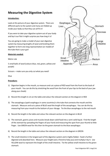 AQA KS3 YEAR 8 BIOLOGY - ORGANISMS | Teaching Resources