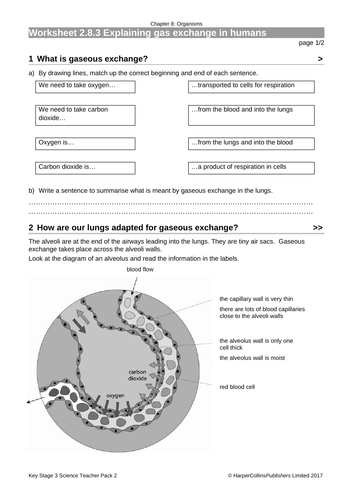 AQA KS3 YEAR 8 BIOLOGY - ORGANISMS | Teaching Resources