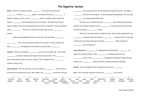 AQA KS3 YEAR 8 BIOLOGY - ORGANISMS | Teaching Resources